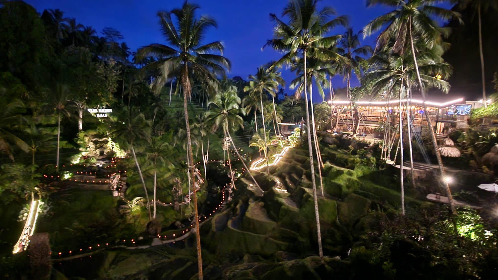 Bali Különlegességei: Vizesések, Majmok és Rizsteraszok Kavalkádja ...