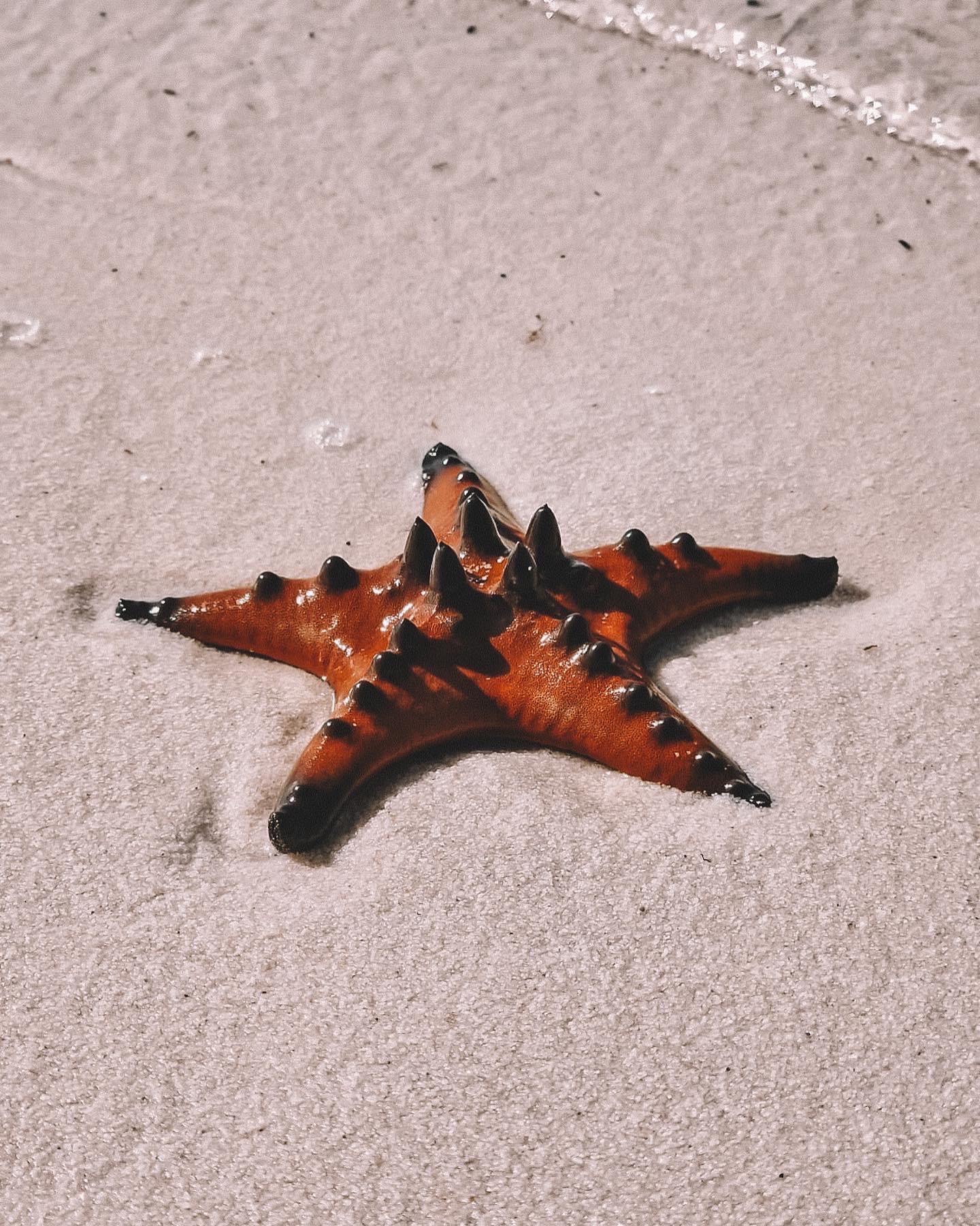 Phu Quoc Sziget, 2 rész: A Paradicsomi Tengerpart Rejtett Kincsei - Barango