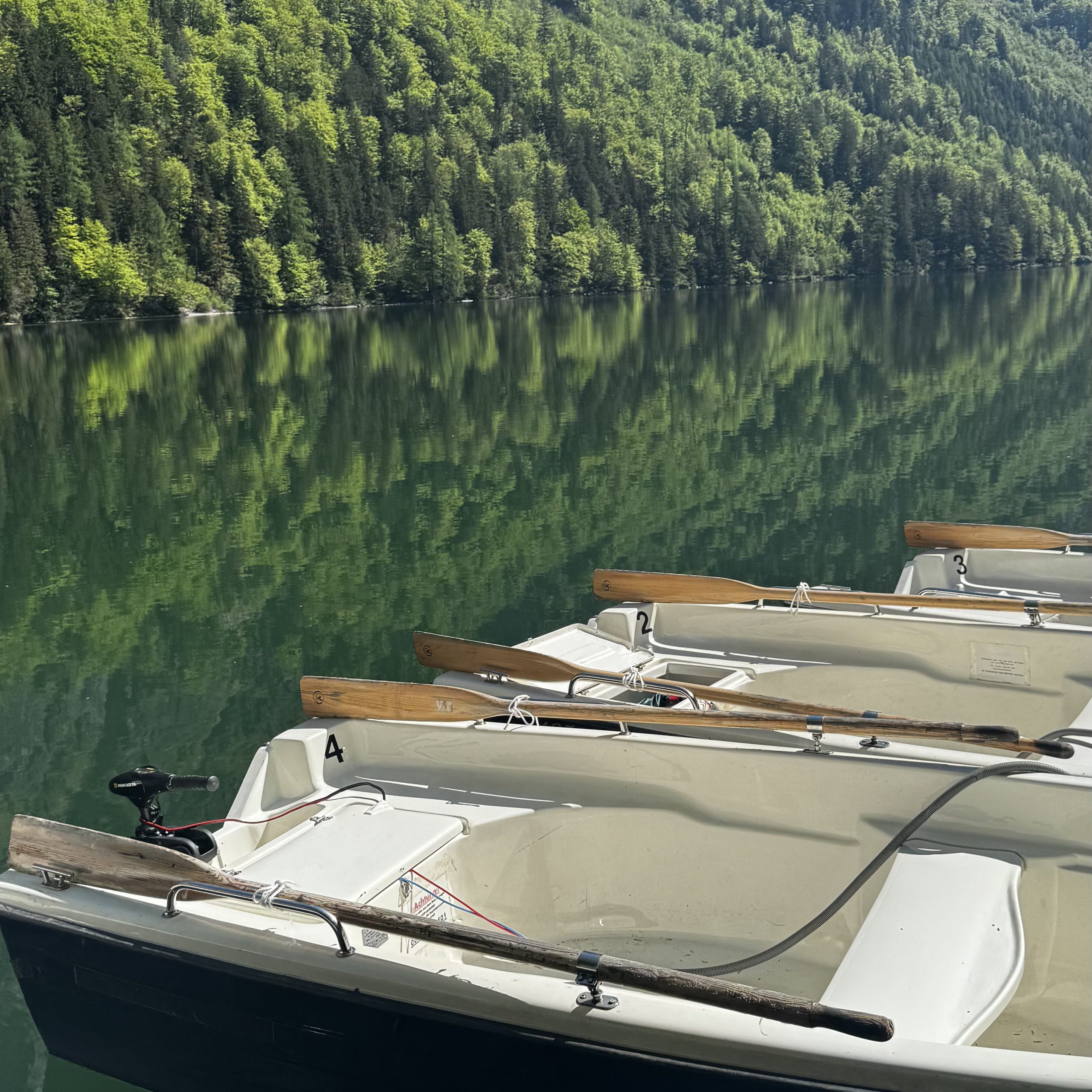 Ausztria House of BaRanGo - Barango